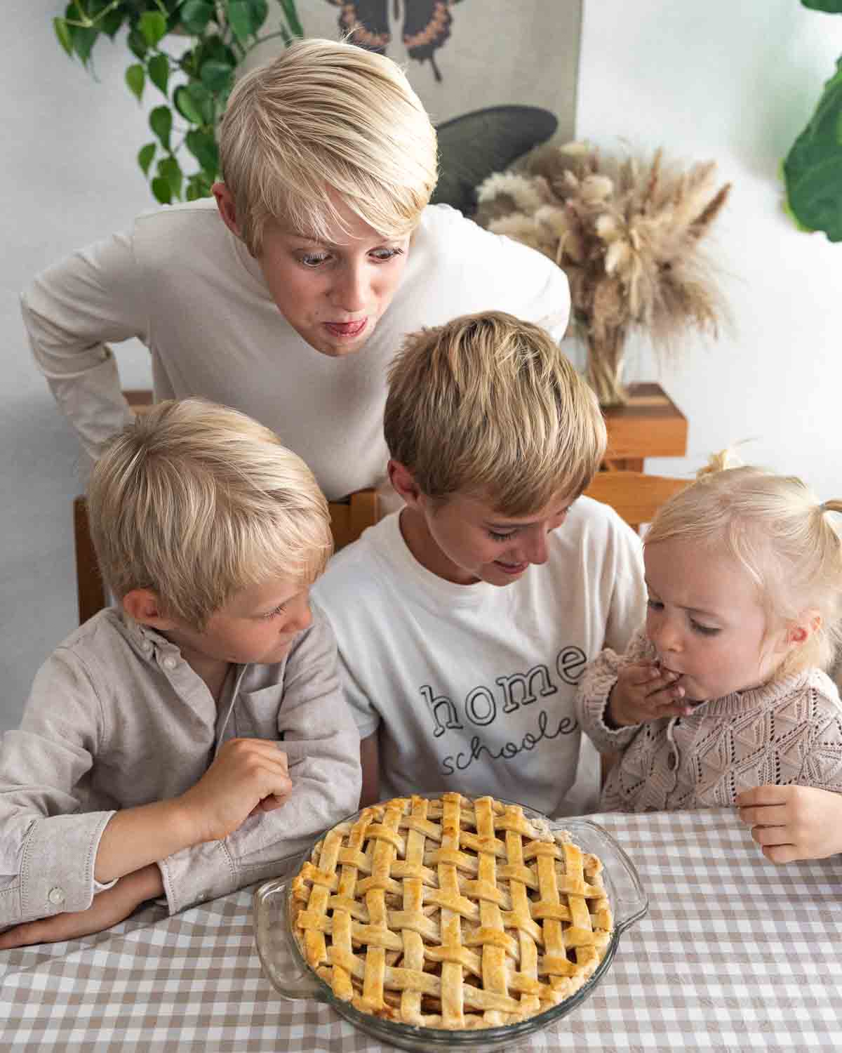 Low Sugar Apple Pie Recipe (Gravenstein Apple Pie!) - Make It Yourself Mama